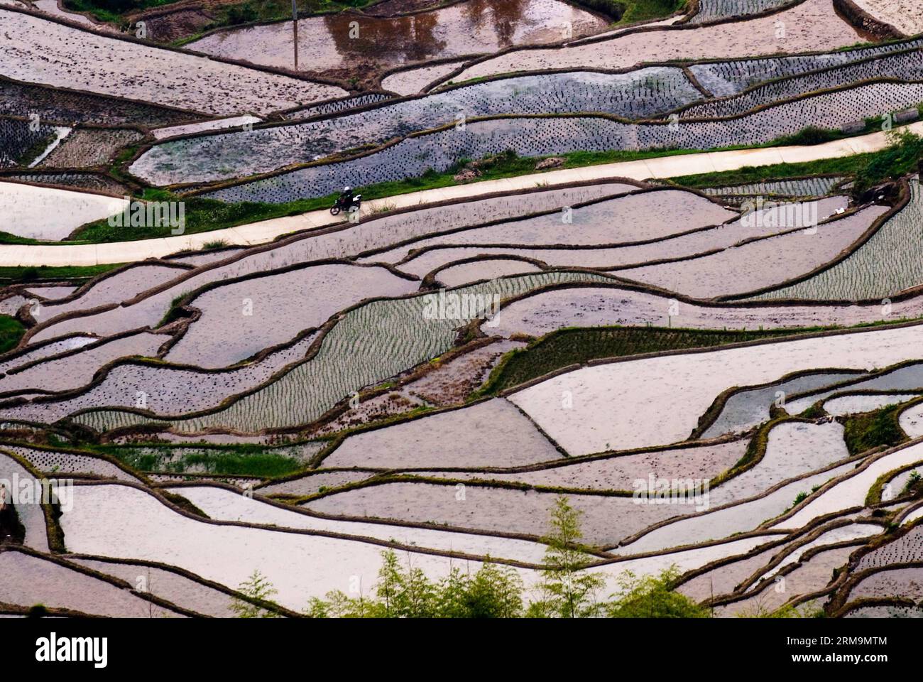 Group farmingcn hi-res stock photography and images - Alamy