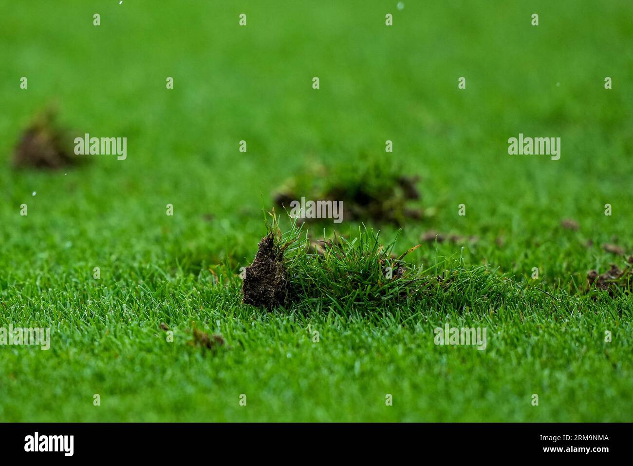 Feyenoord v almere city hi-res stock photography and images - Alamy
