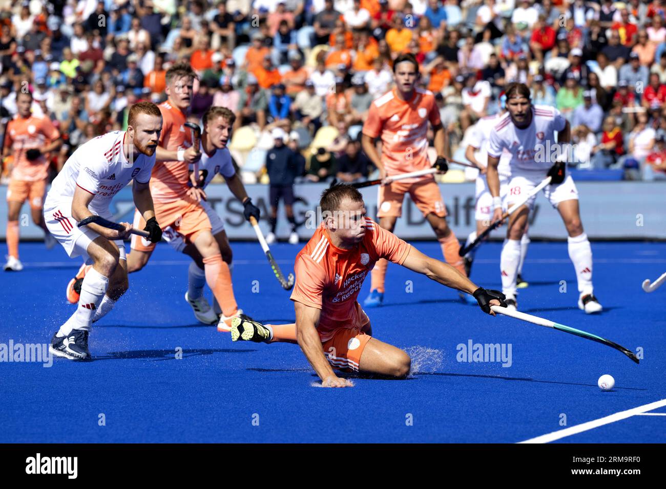Bijen hi-res stock photography and images - Alamy