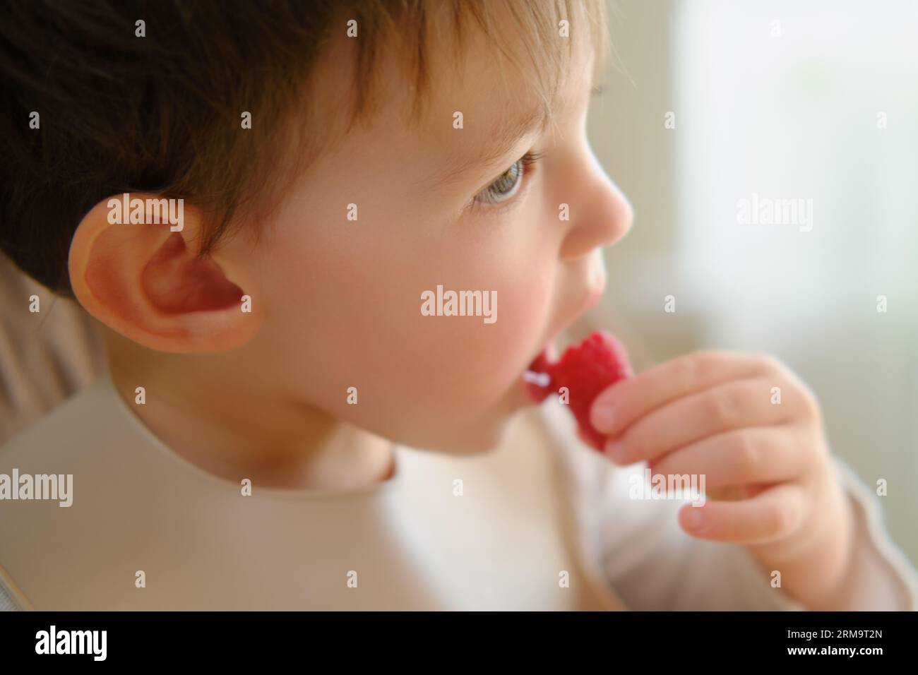 The little baby boy eating raspberry while sitting at the home Stock ...