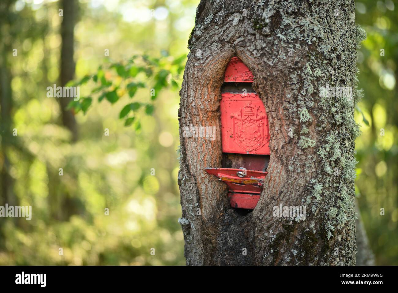 Oak Tree trunk grown around a classic old style red mailbox Stock Photo ...
