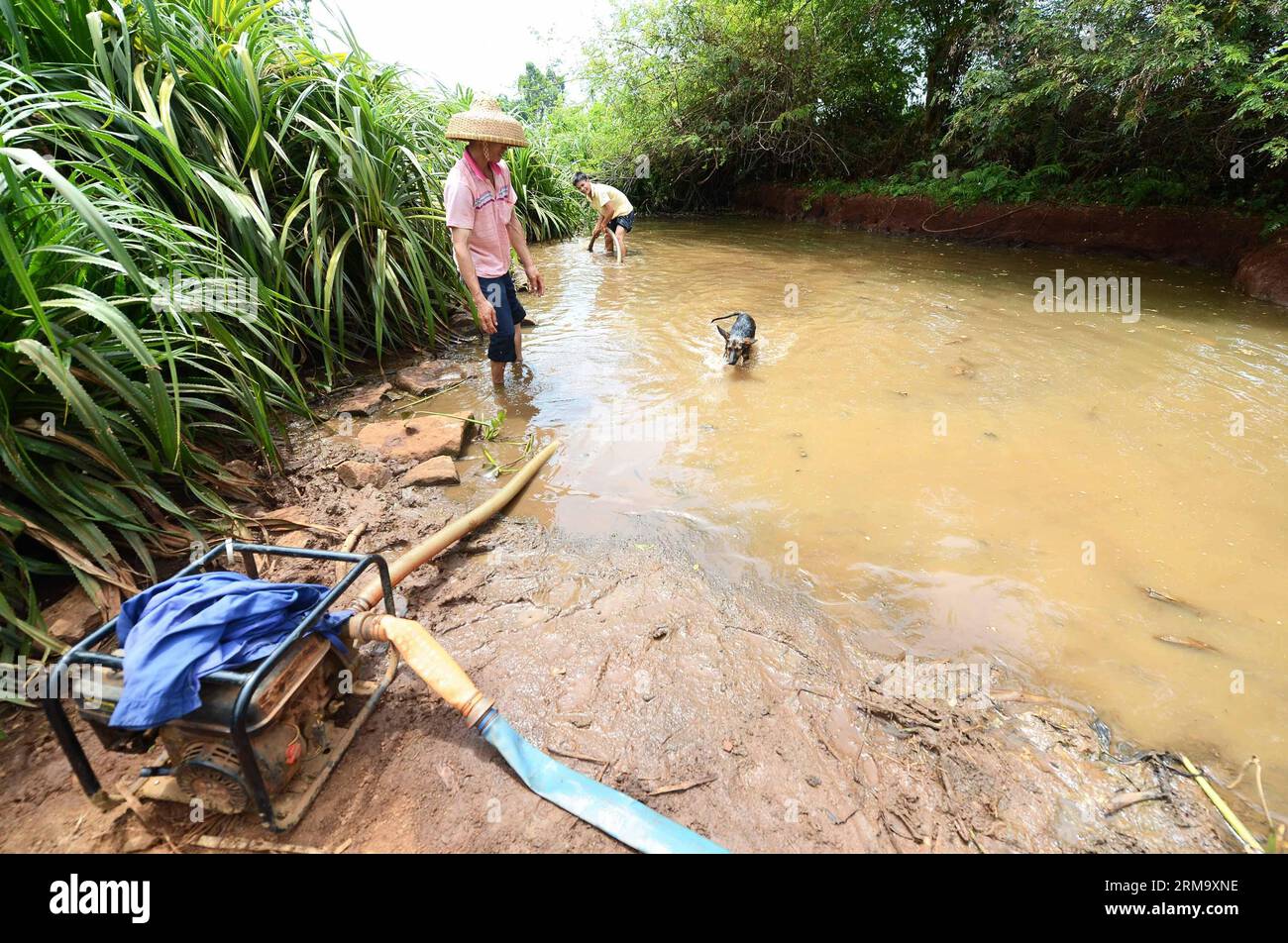 Nali hi-res stock photography and images - Alamy