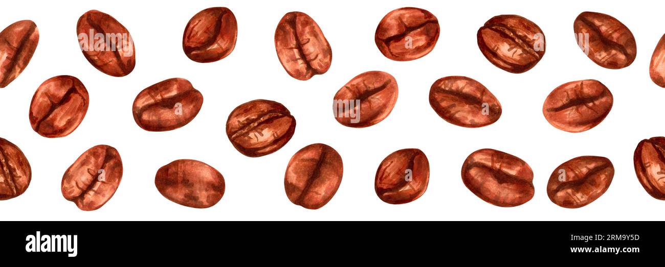 Seamless border of coffee beans.Aroma of robusta and arabica varieties ...