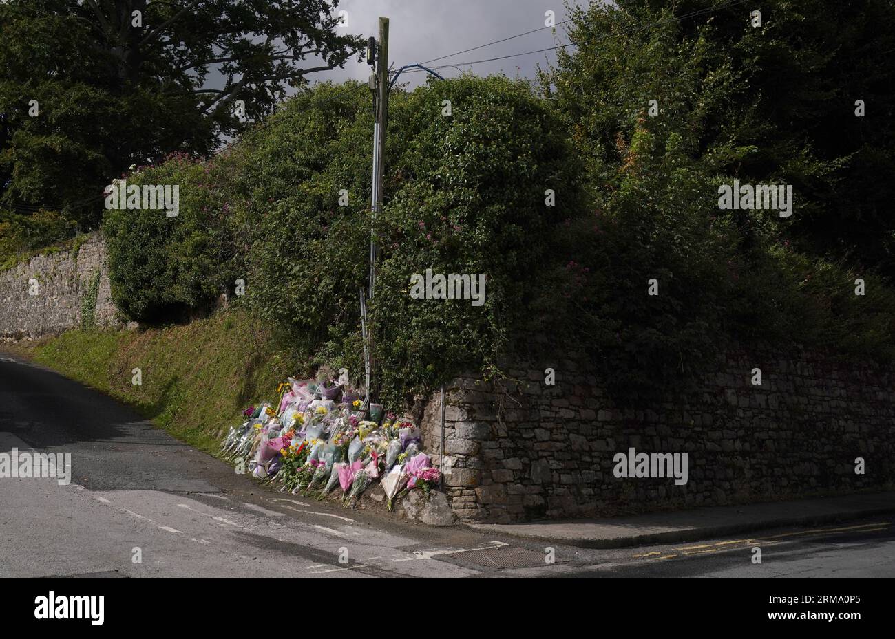Flowers and tributes left at the scene in Clonmel, Co Tipperary where ...