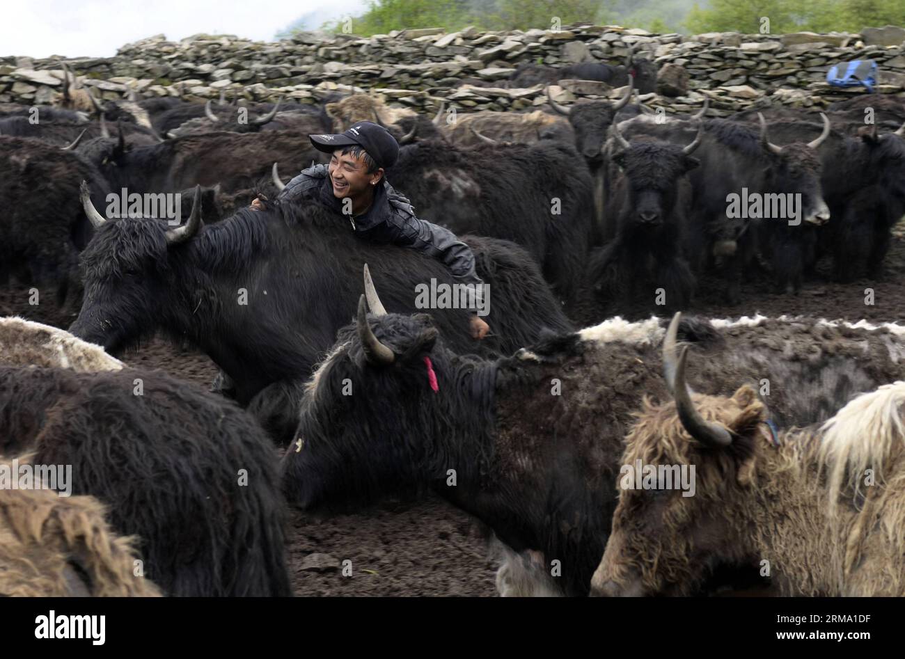 Villgers yks hi-res stock photography and images - Alamy