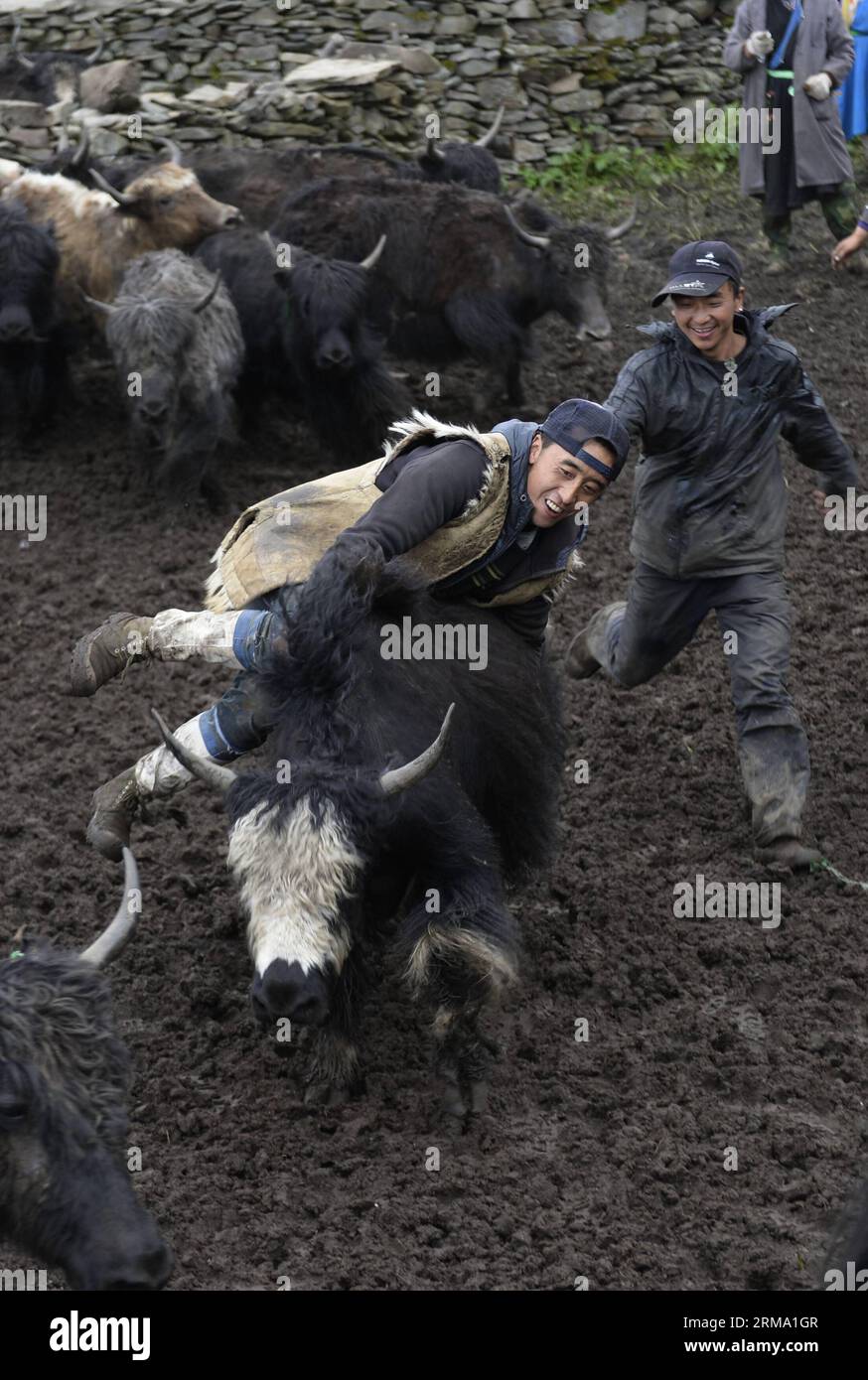 Villgers yks hi-res stock photography and images - Alamy