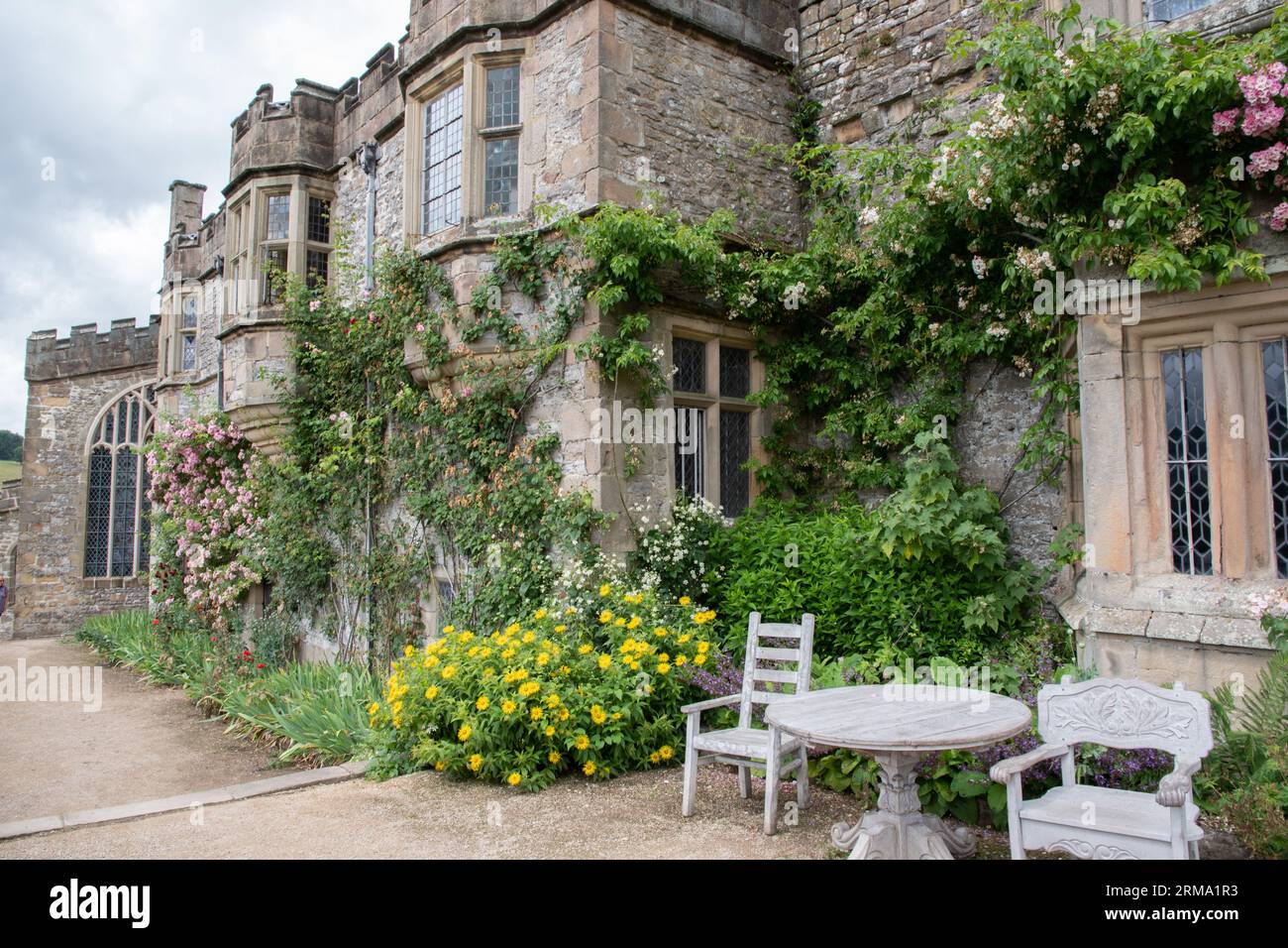 Roses garden climbing hi-res stock photography and images - Alamy