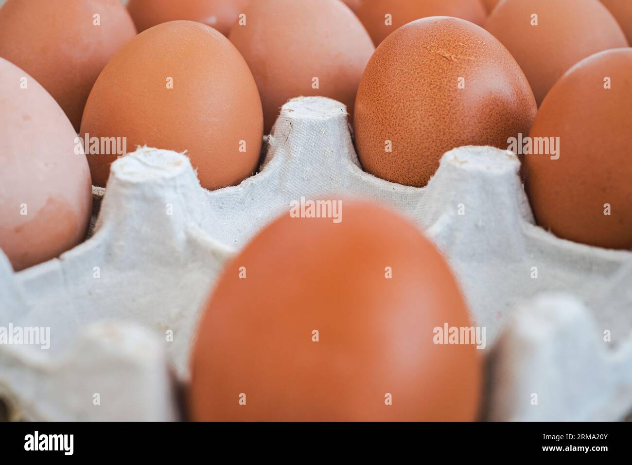 Packaging of fresh chicken eggs from local producers, recycled food ...