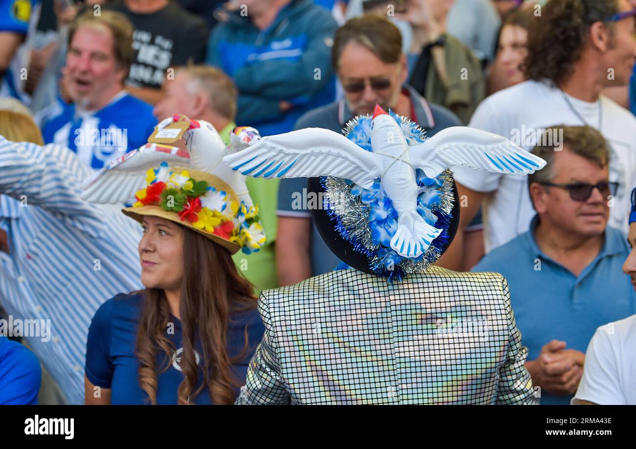 Football fans 2023 hi-res stock photography and images - Alamy