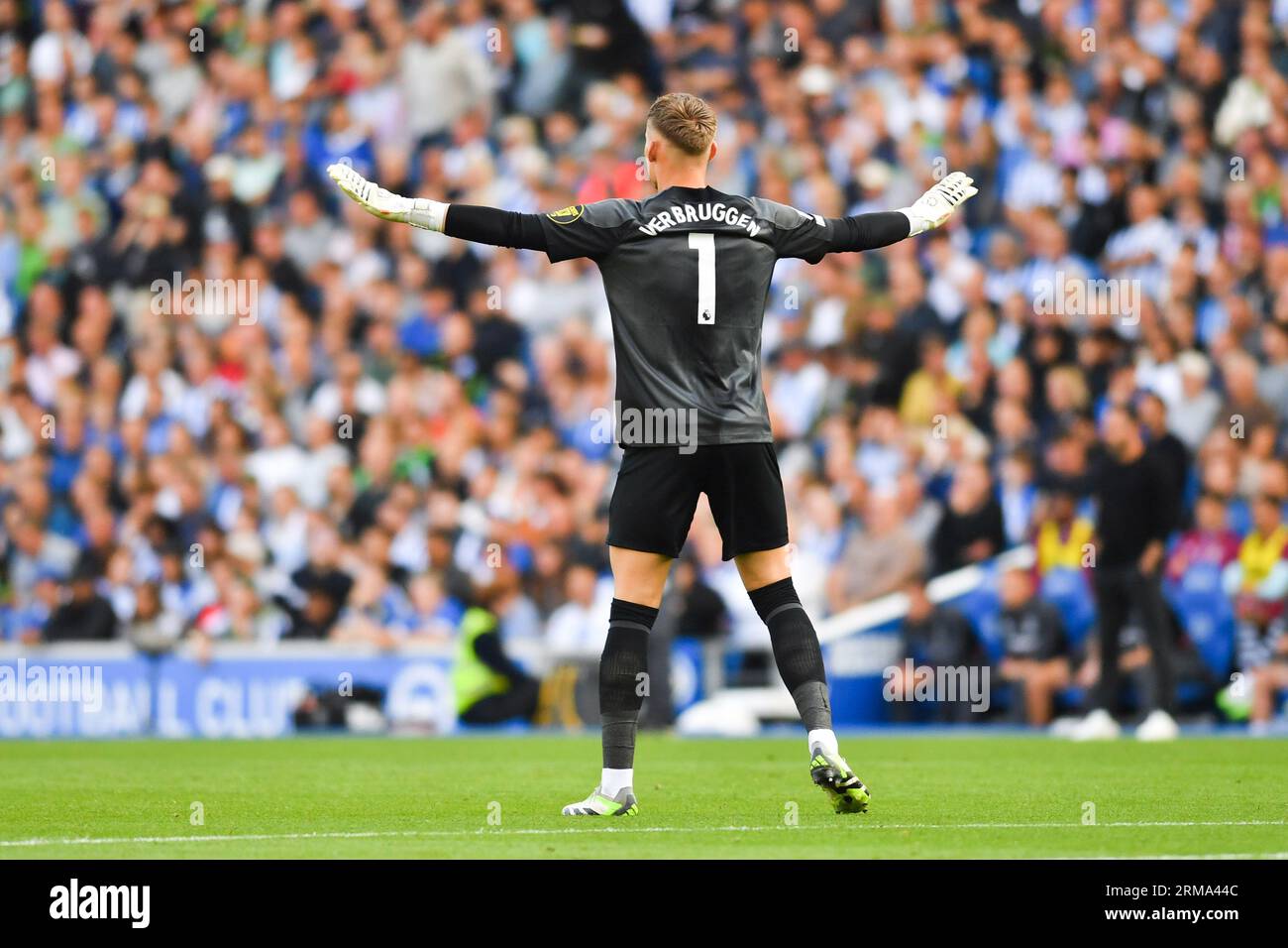 Bart Verbruggen of Brighton during the Premier League match between ...