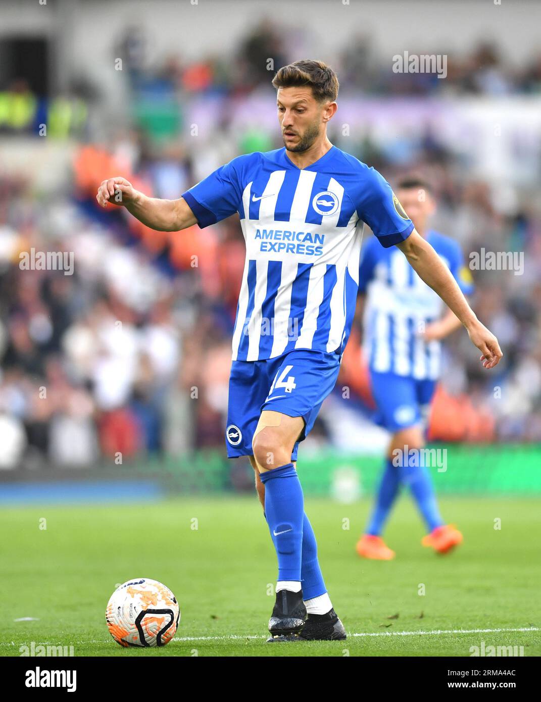 Brighton adam lallana 2023 hi-res stock photography and images - Alamy