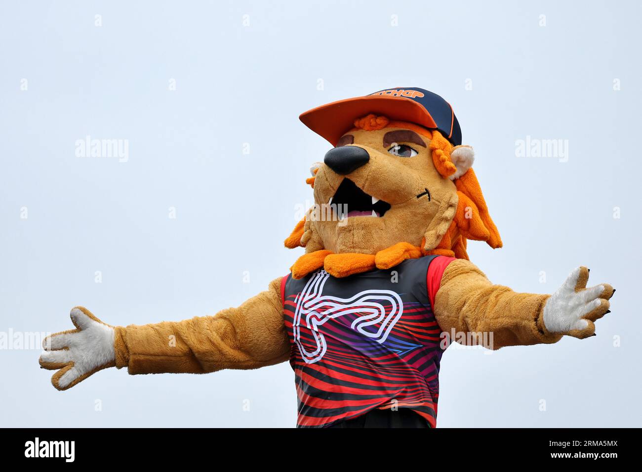 Dutch lion hi-res stock photography and images - Alamy