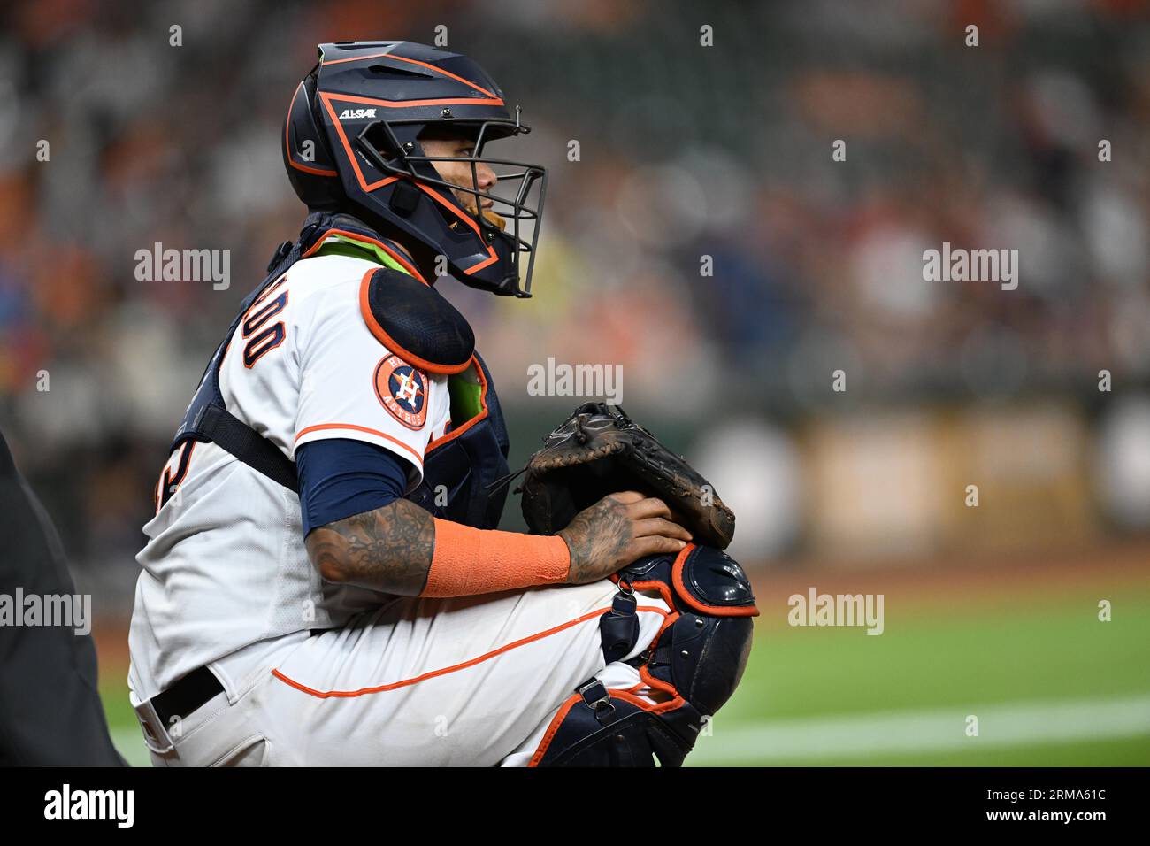 Houston Astros catcher Martin Maldonado (15) sending a pitch signal in ...
