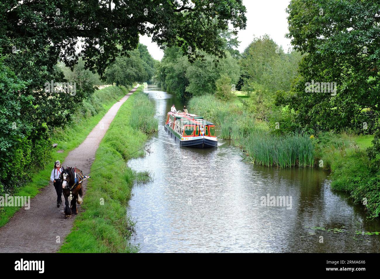 Tiverton Horse Drawn Barge on the Grand Western Canal Country Park. Devon, UK Stock Photo - Alamy