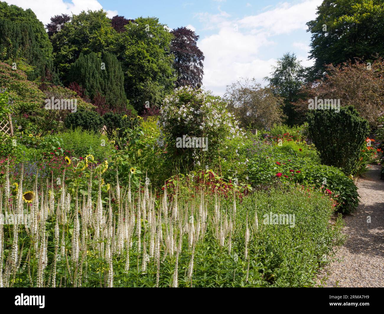 Newby Hall the Autumn garden in July Stock Photo - Alamy