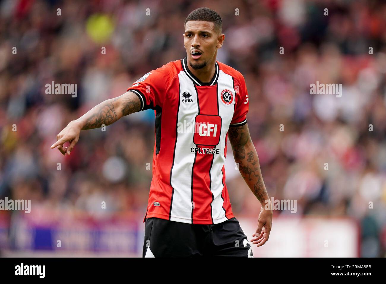 Sheffield United's Vinicius de Souza Costa gives instructions during ...