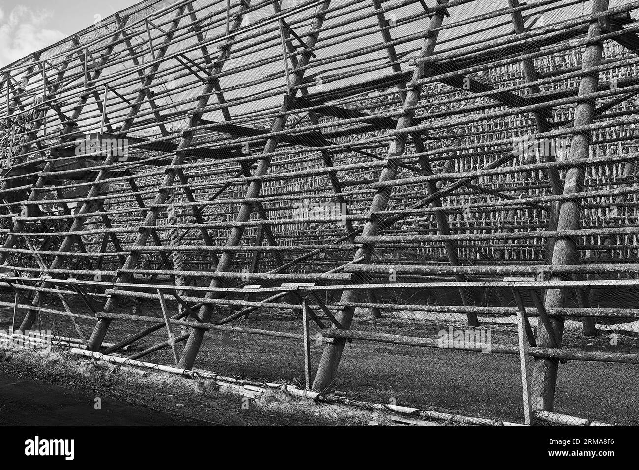 Fish drying on frame hi-res stock photography and images - Alamy