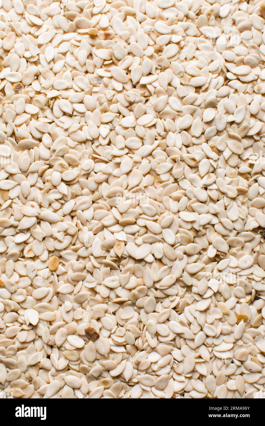 Egusi melon hi-res stock photography and images - Alamy