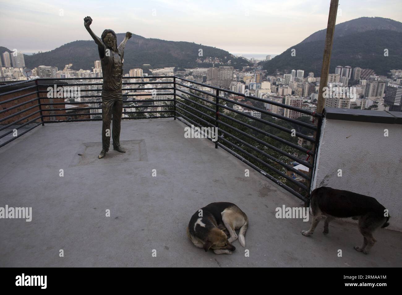 Dogs are seen at a terrace where a statue honoring American pop singer ...