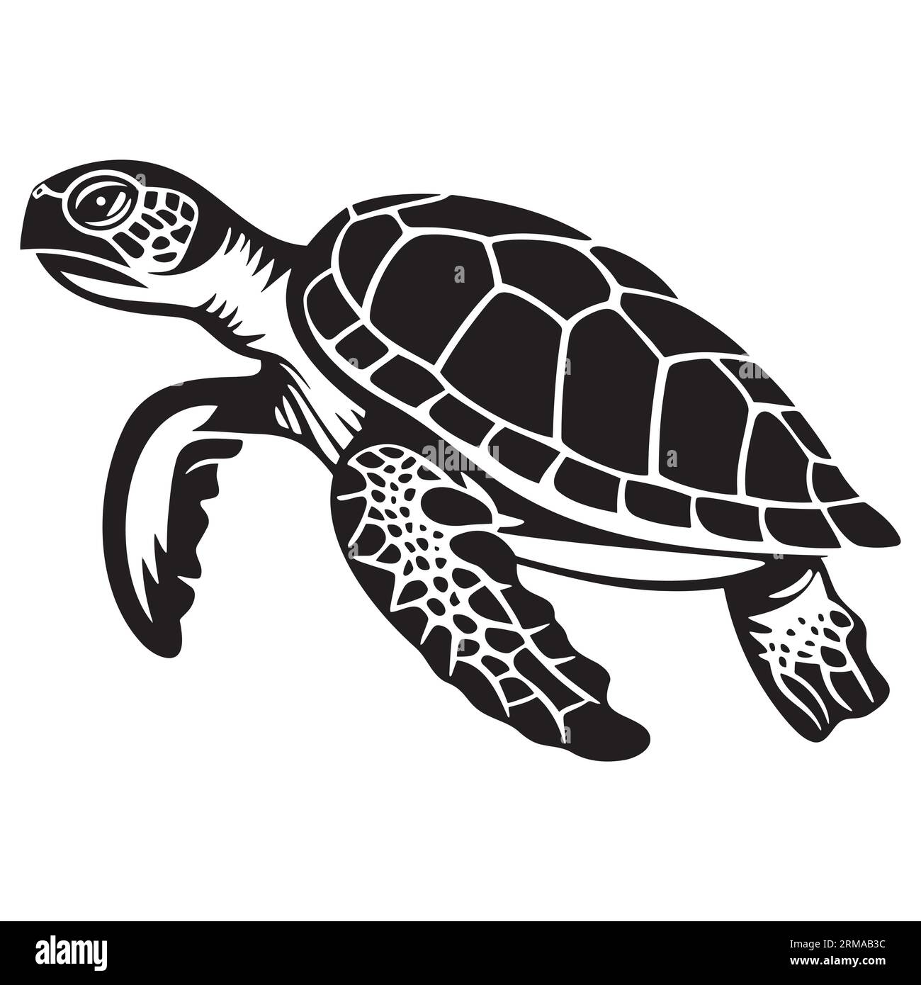graphic sea turtle,vector illustration of sea turtle Stock Vector Image ...