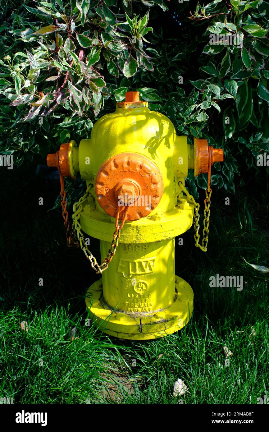 Yellow and orange fire hydrant Stock Photo - Alamy