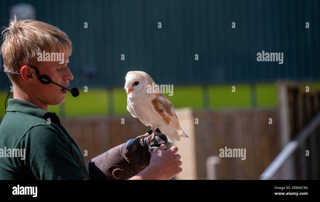 colorful parrot. Trained parrot in zoo performing Stock Photo - Alamy
