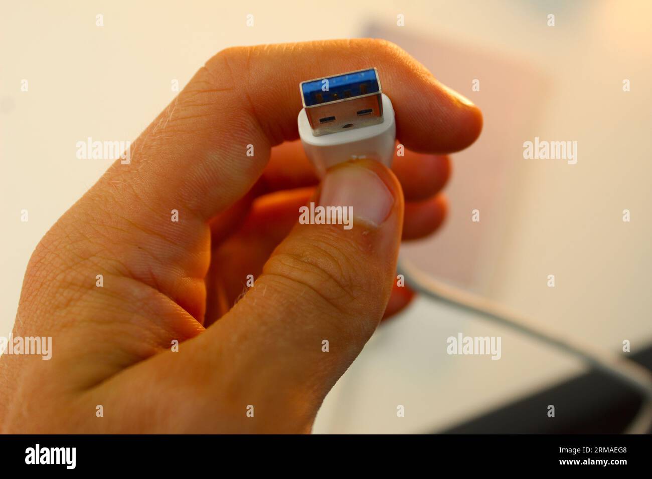 A photo of a white boy's hand holding a USB Stock Photo - Alamy
