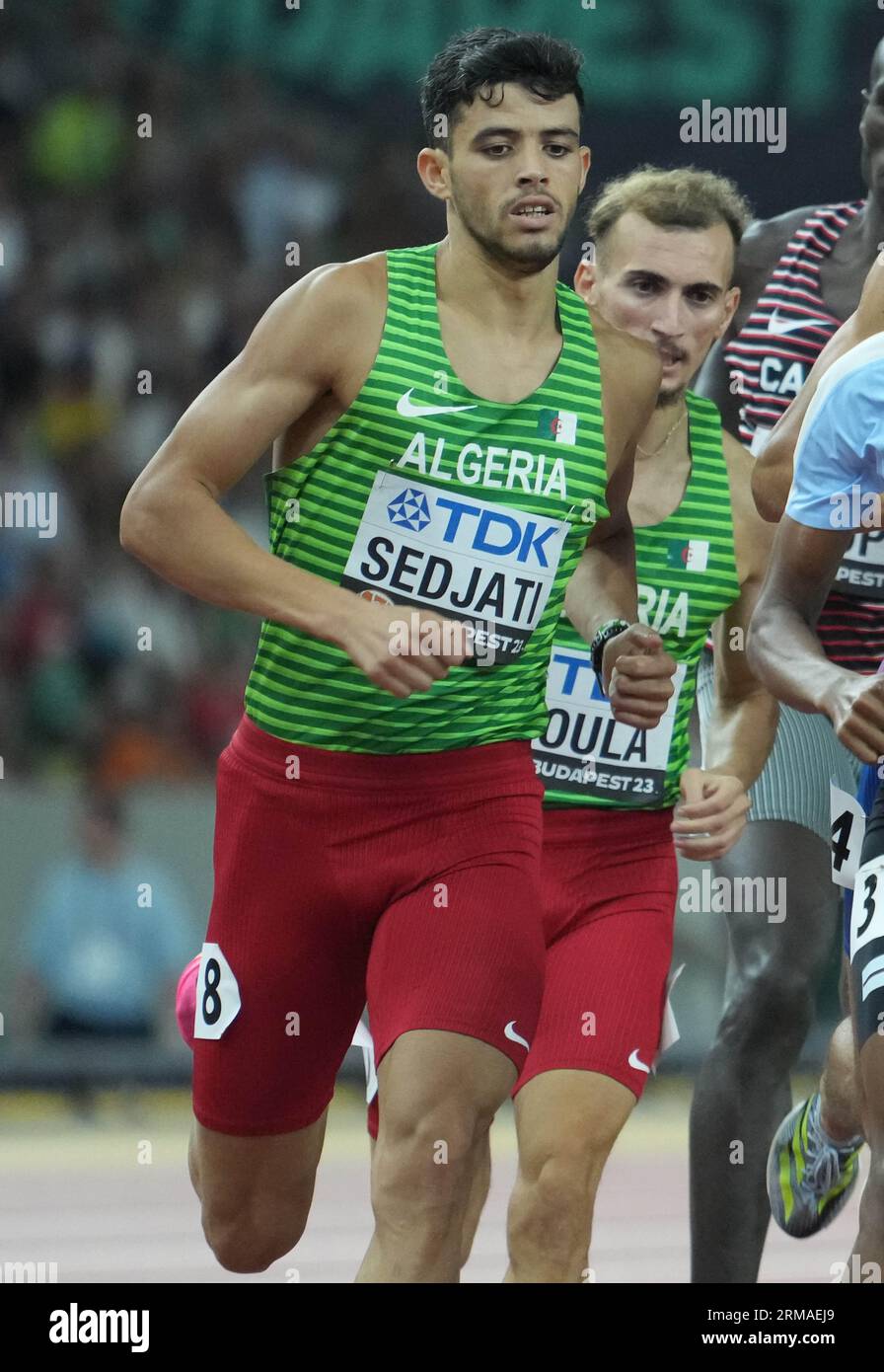 Djamel SEDJATI of ALG Final 800 METRES MEN during the World Athletics ...