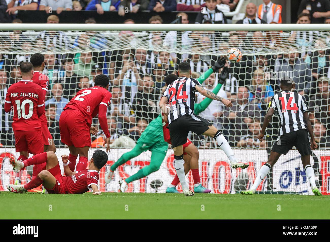 Alisson Becker #1 of Liverpool saves a shot off of Miguel Almirón #24 ...