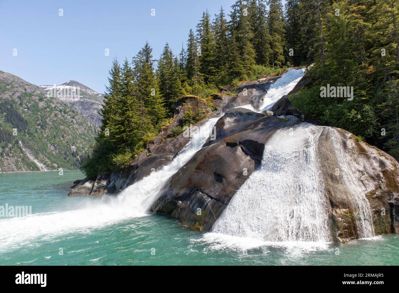 Alaska ice trees hi-res stock photography and images - Alamy