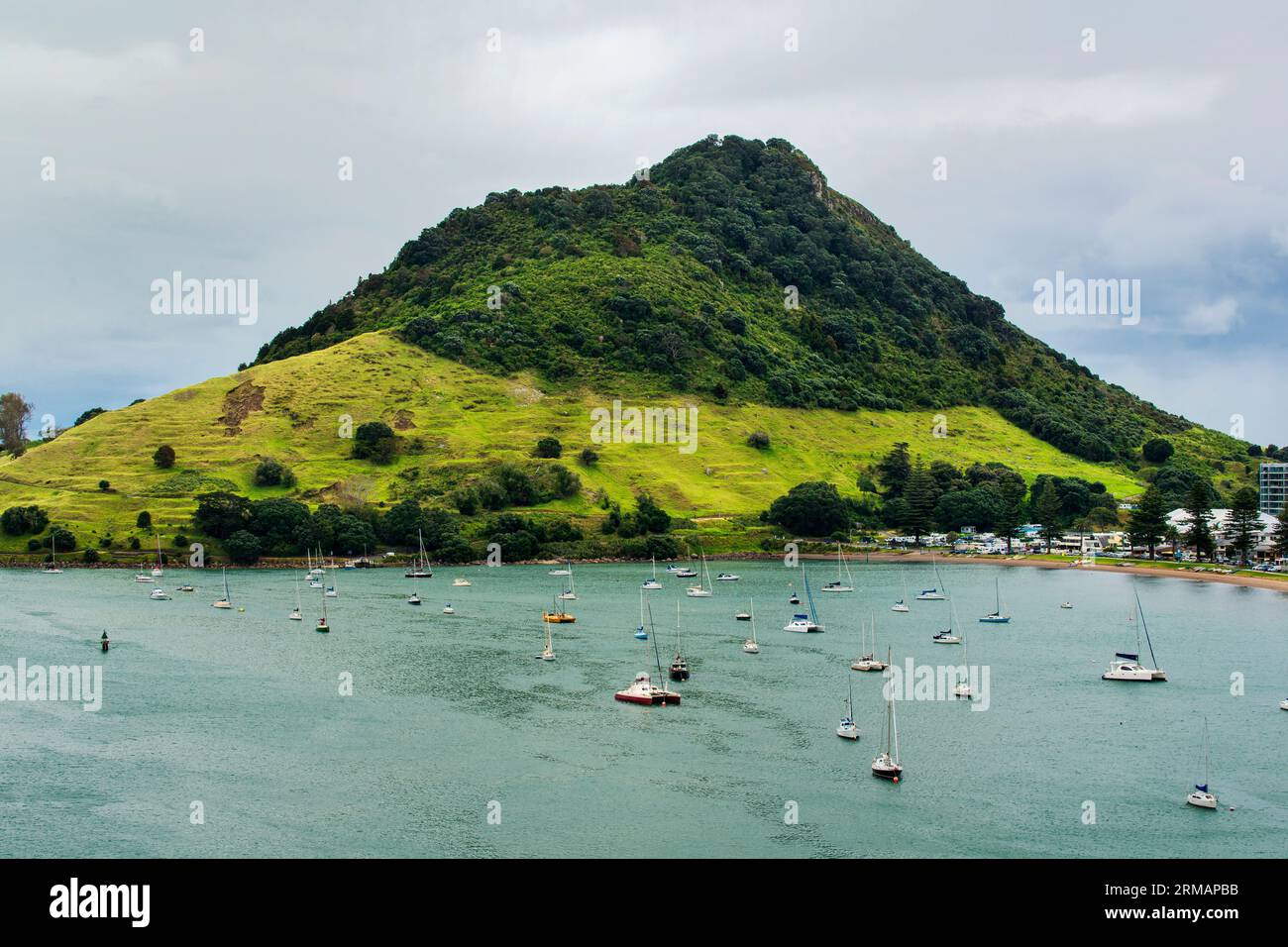 Maori sacred sculpture hi-res stock photography and images - Alamy
