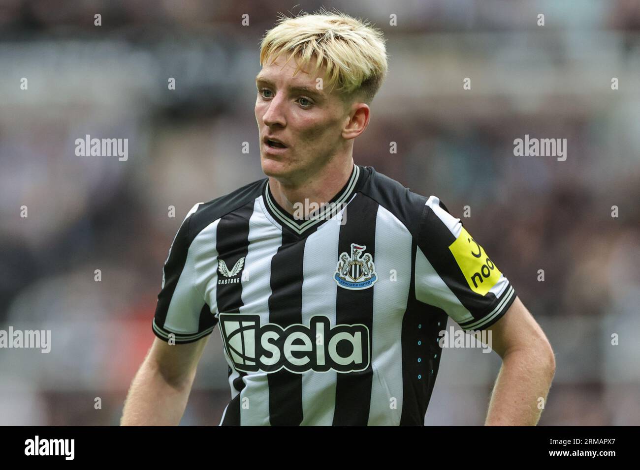 Anthony Gordon #10 of Newcastle United during the Premier League match ...