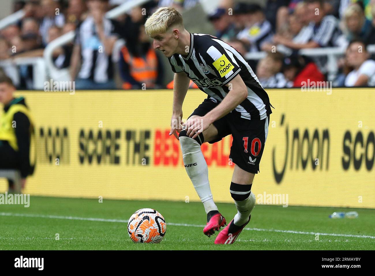 Anthony Gordon of Newcastle United during the Premier League match ...