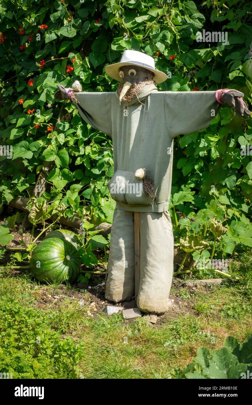 Watermelon Patch Scarecrow