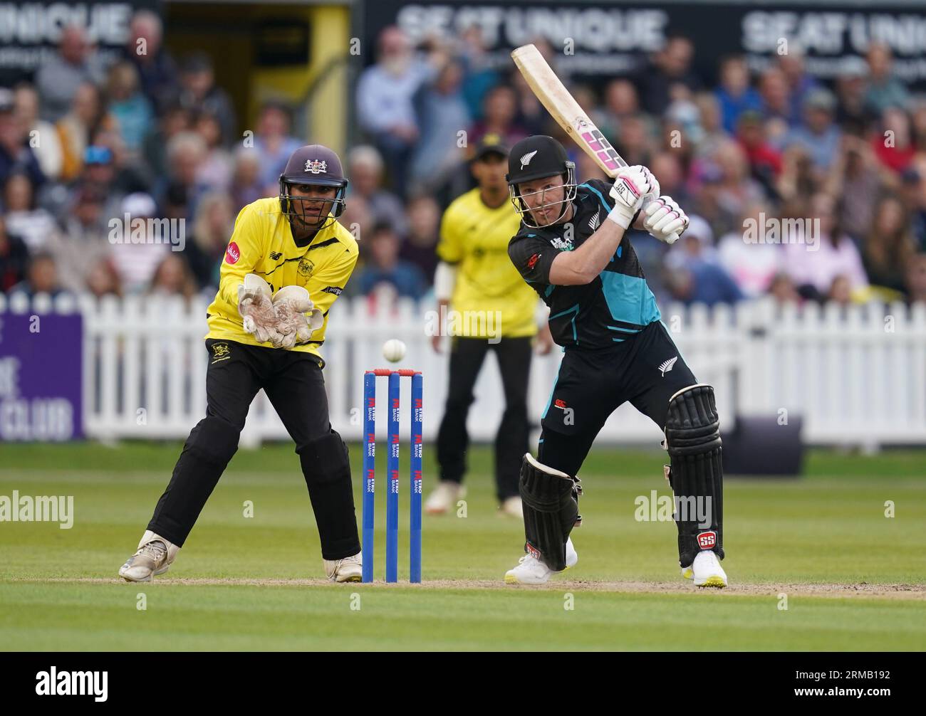 New Zealand's Tim Seifert bats during the T20 match at the Seat Unique ...