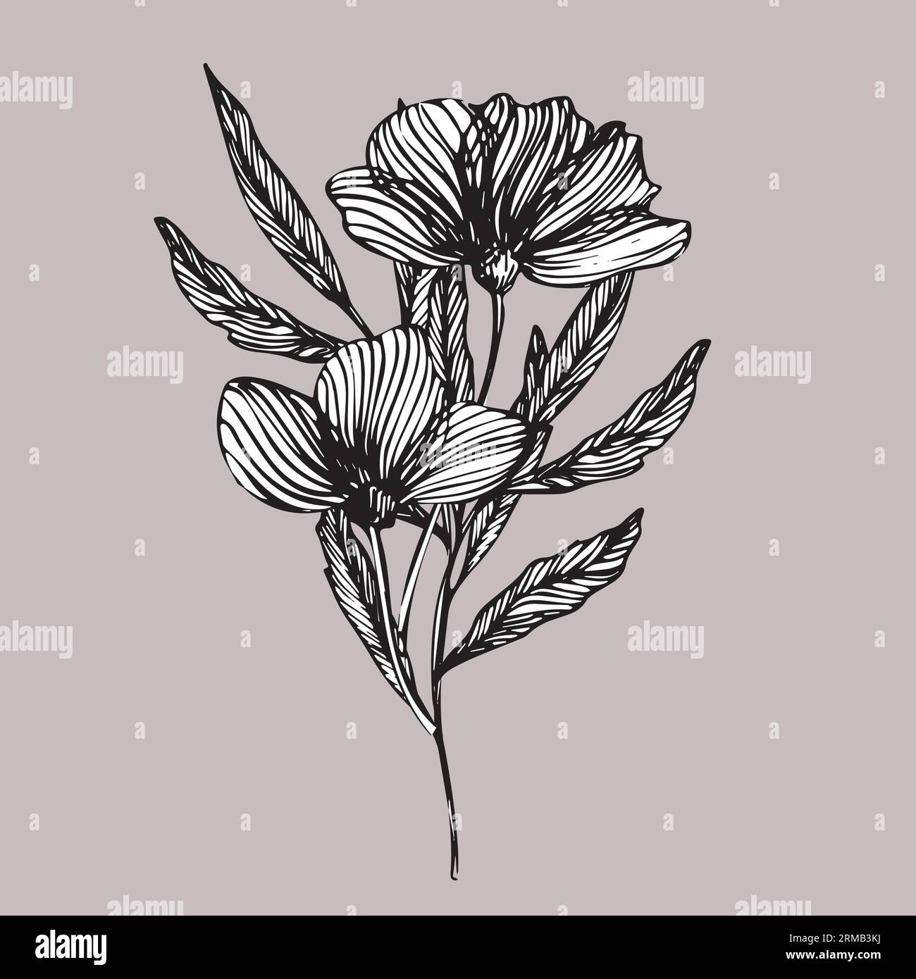 Botanical composition with flowers, branches, and leaves. Set of vector ...