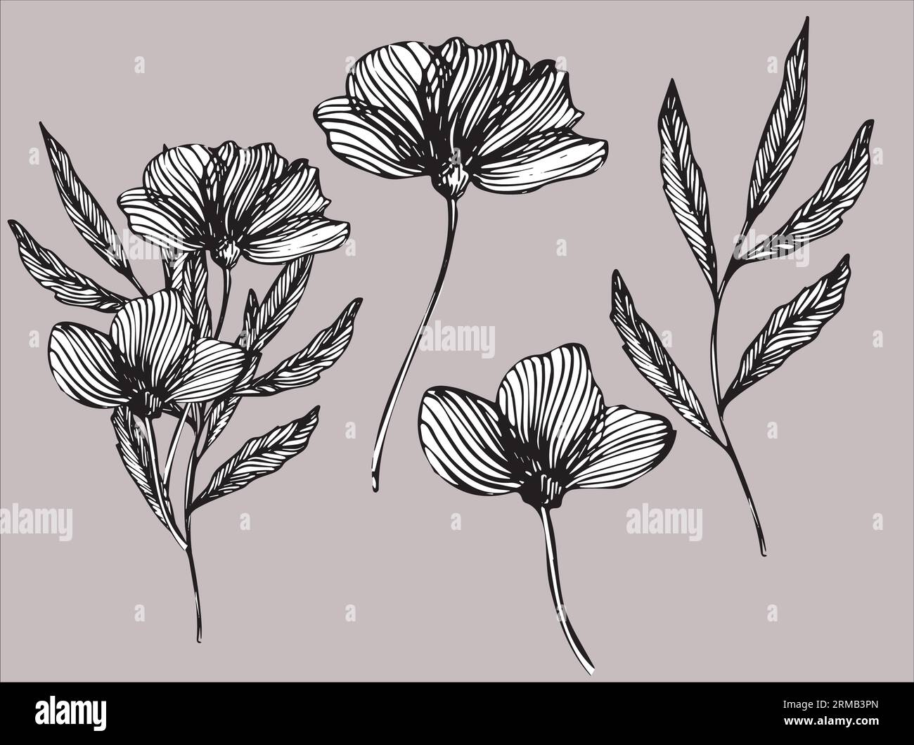 Botanical composition with flowers, branches, and leaves. Set of vector ...