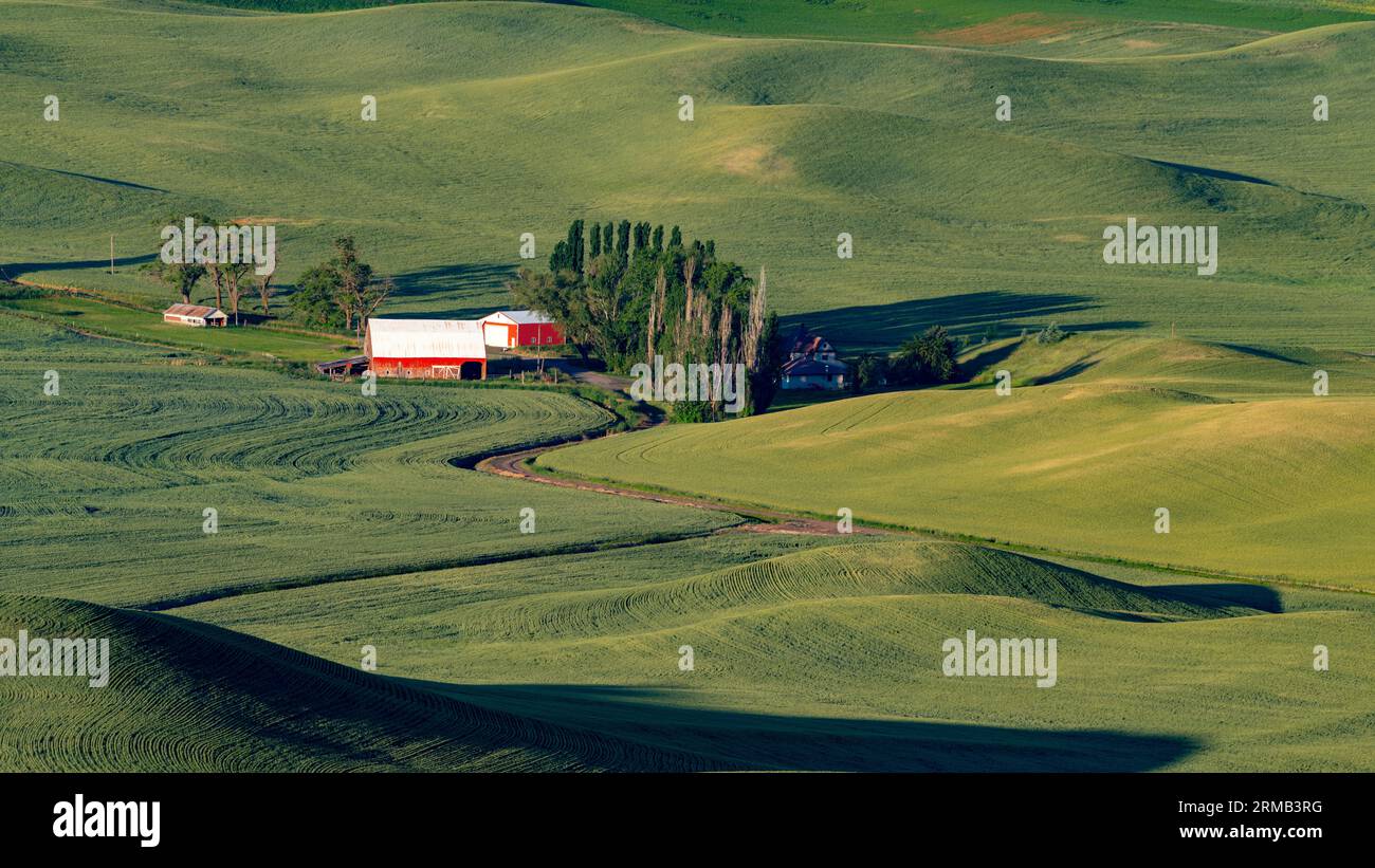 Eastern washington farm hi-res stock photography and images - Alamy