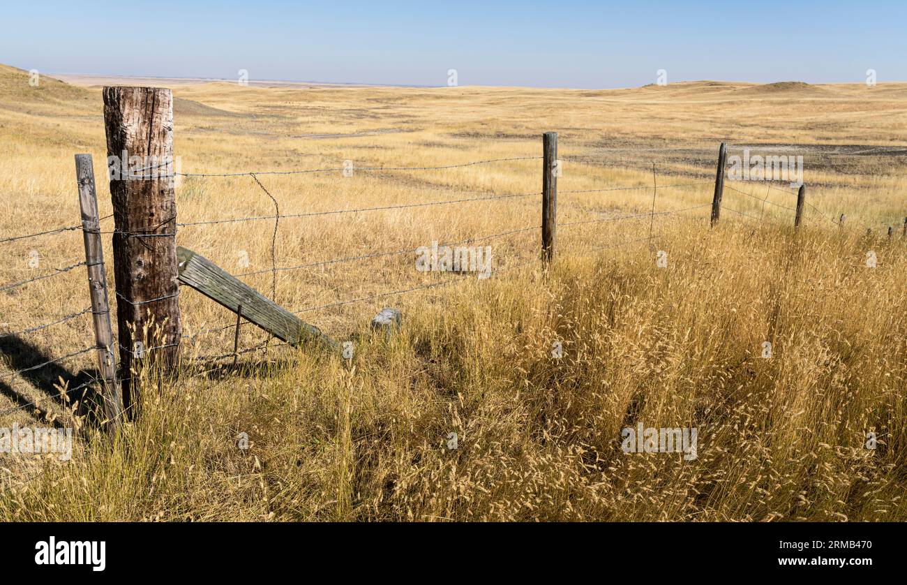 Fencing and grassland in Cascade County, Montana Stock Photo - Alamy