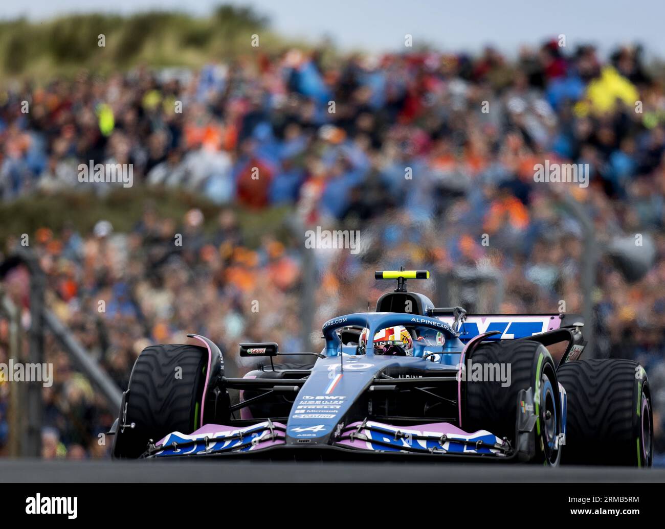ZANDVOORT - Pierre Gasly (Alpine) during the F1 Grand Prix of the ...