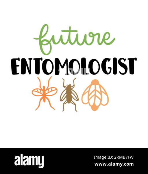 Entomologist vector vectors hi-res stock photography and images - Alamy