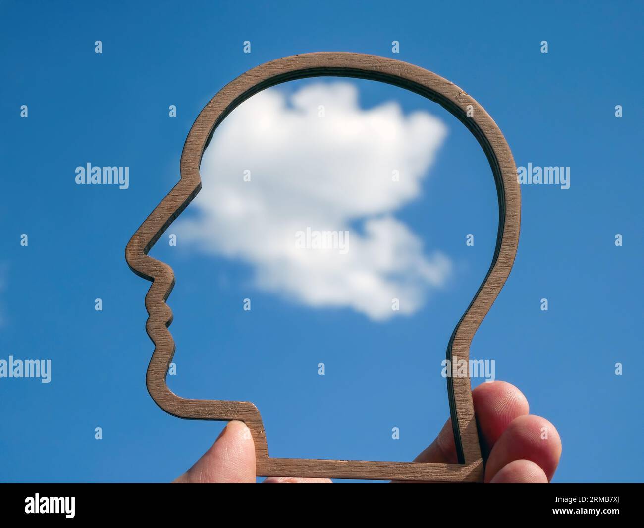 Mindfulness and wellbeing concept. The hand holds the contour of head ...