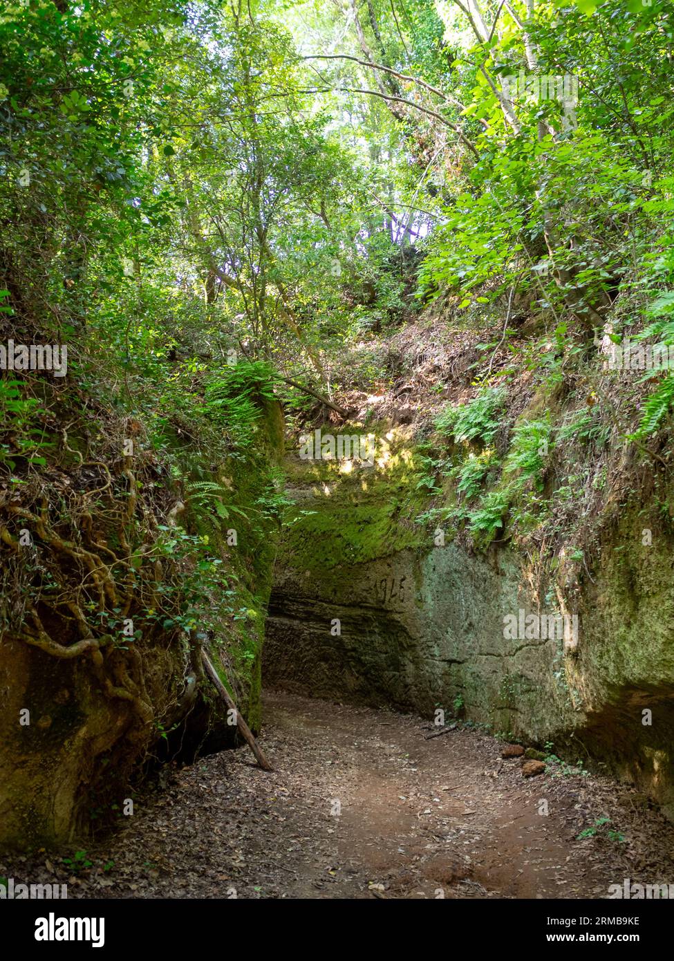 The Vie Cave del Cavone, old Etruscan road excavated from the tuff rock ...