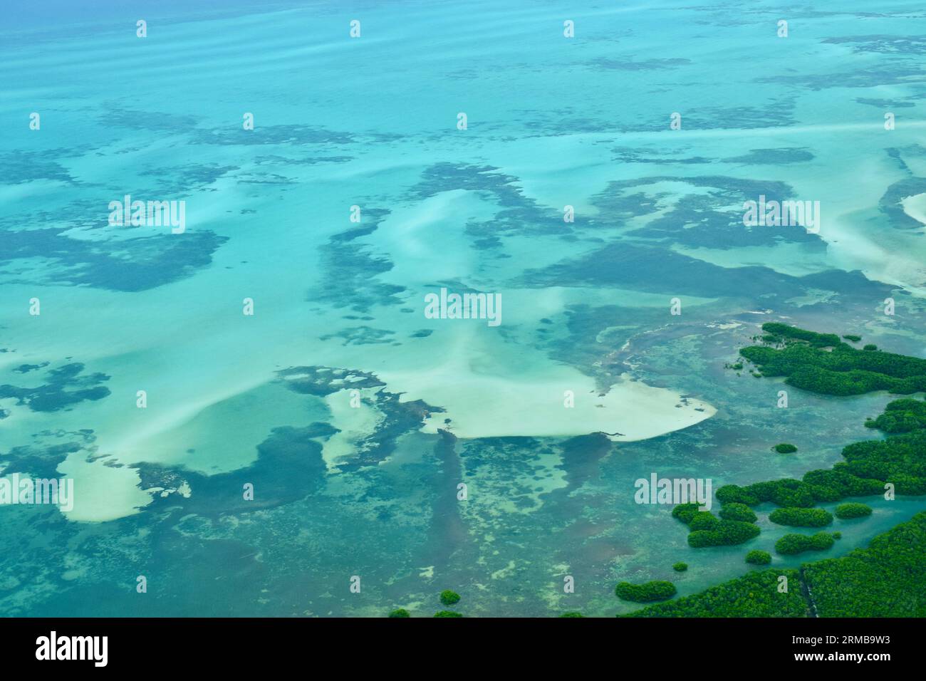 An aerial view of the clear waters of Belize as seen from a small plane ...