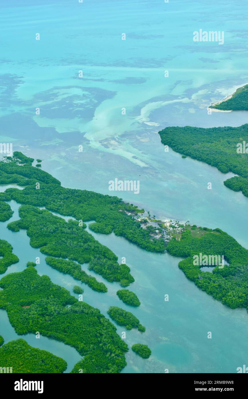 A view of some mangrove and clear, turquoise water while flying over ...