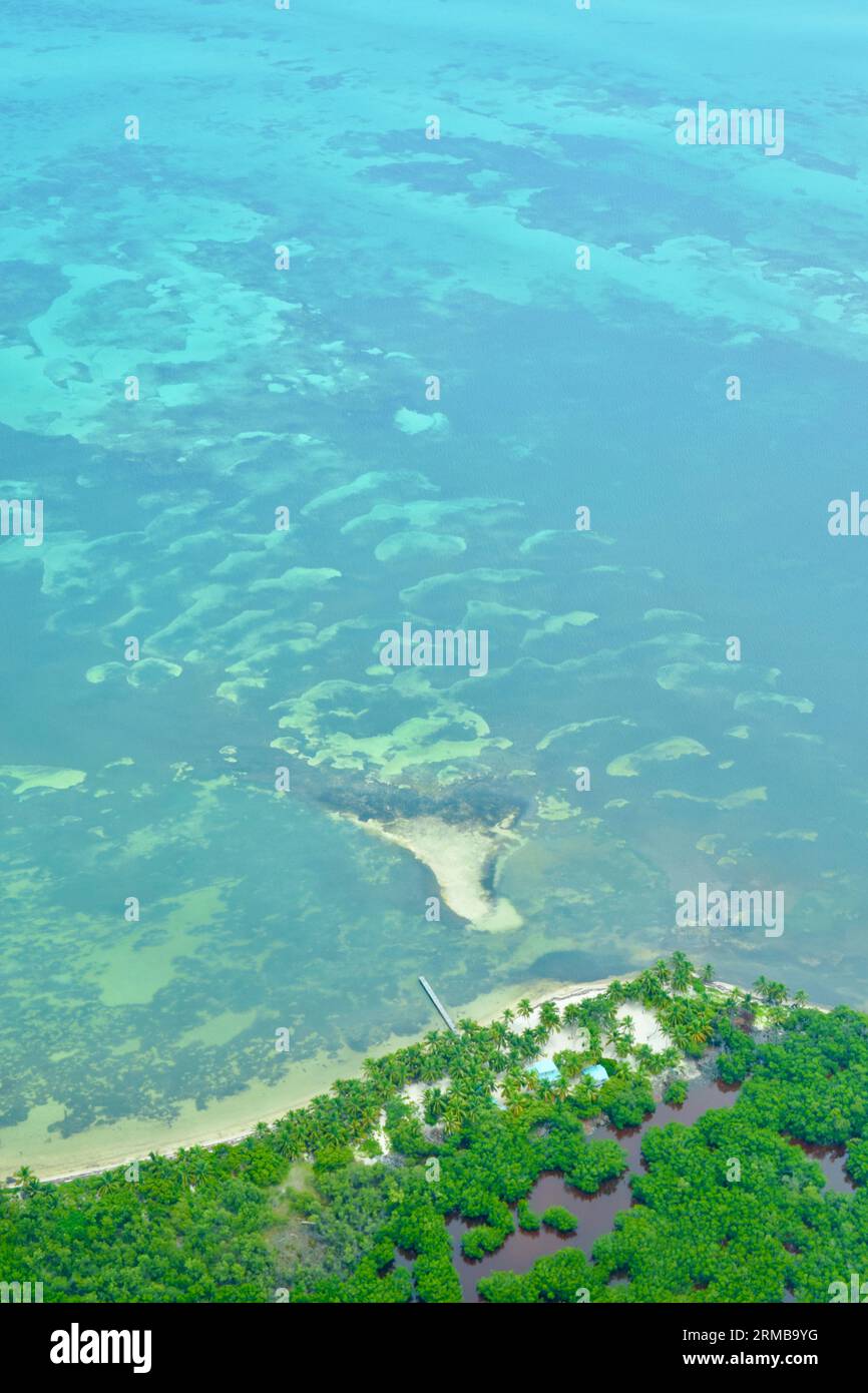 A vertical shot of clear, blue water and mangrove bushes as seen from a ...