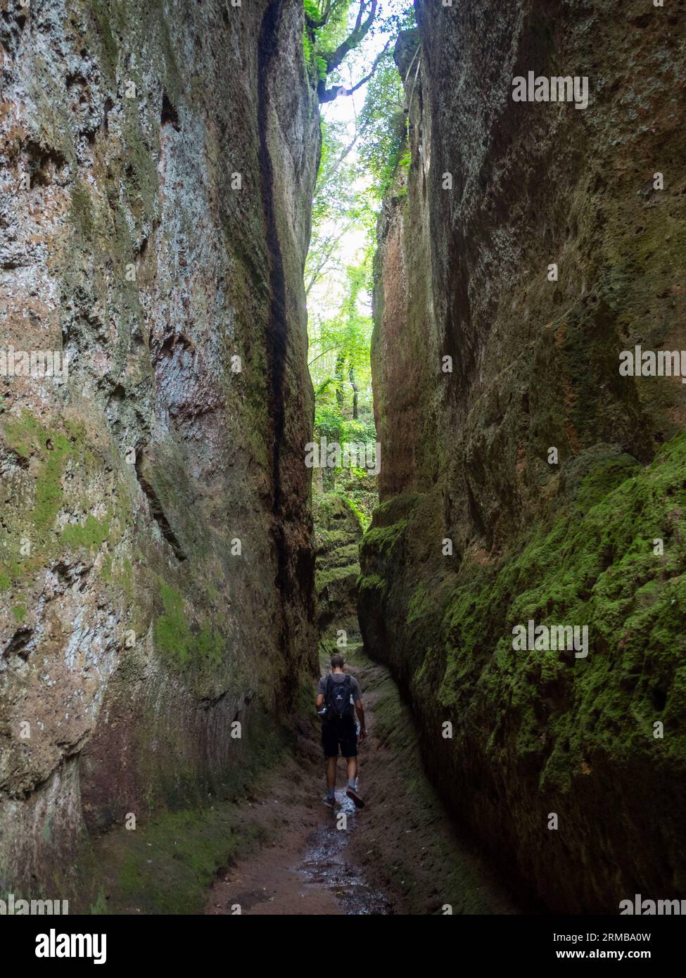 Walking in the Vie Cave, old Etruscan road cut from the tuff rock, The ...
