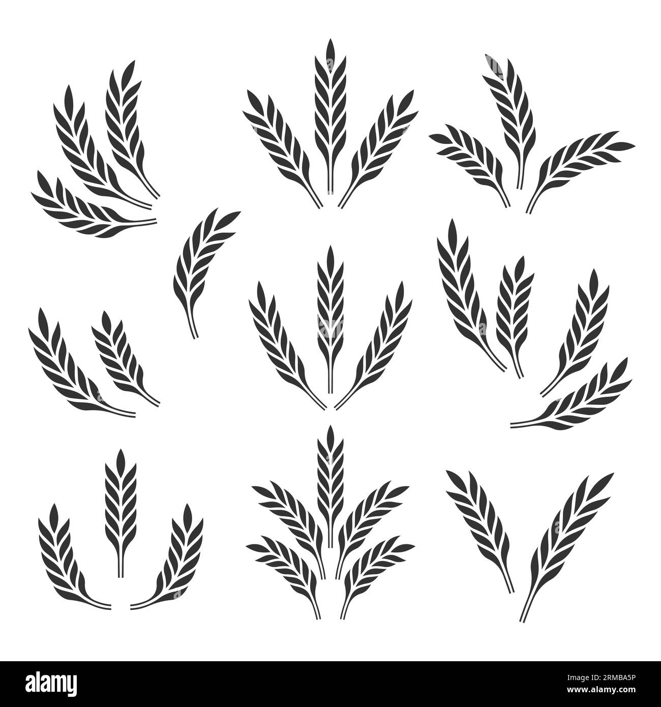 Flat Vector Agriculture Wheat Icon Set Isolated, Organic Wheat, Rice ...