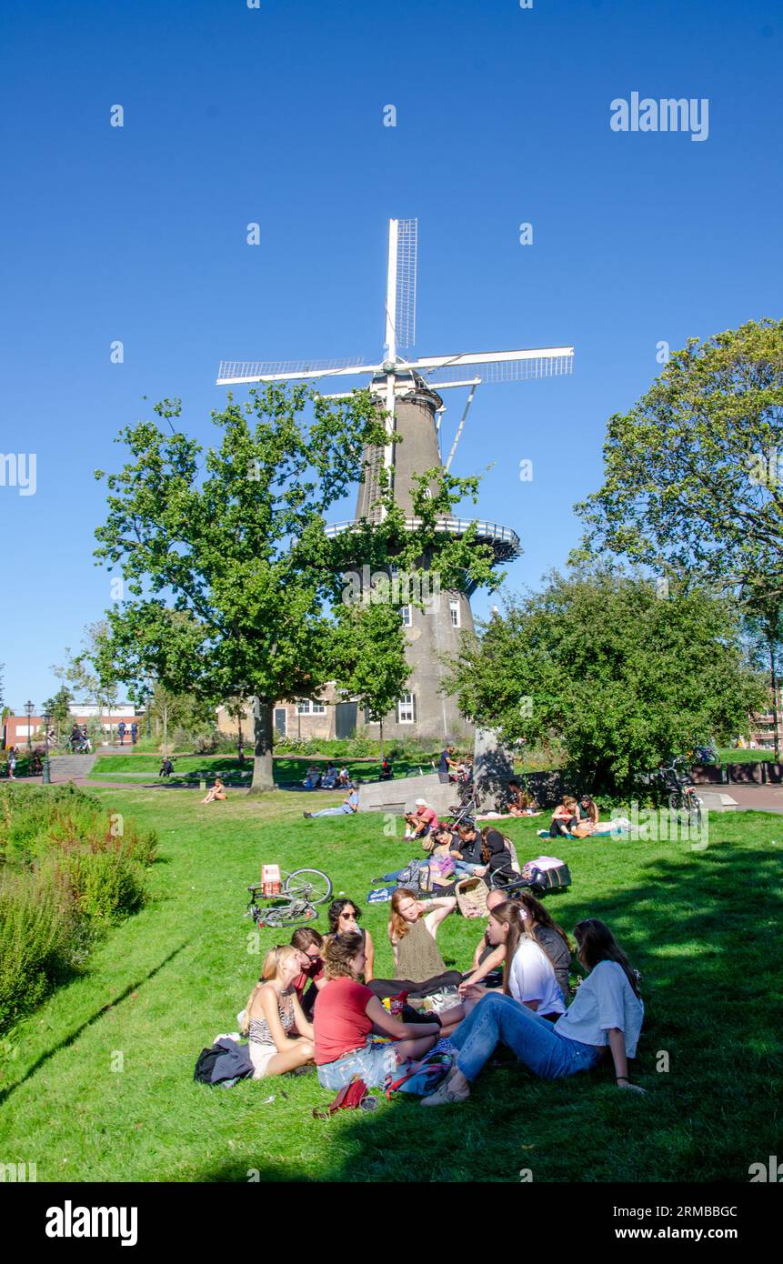 Students sitting on the grass in front of the De Walk tower mill and ...