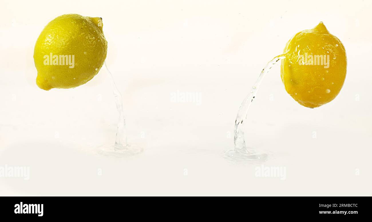 Yellow Lemons, citrus limonum, Fruits falling into Water and splashing ...